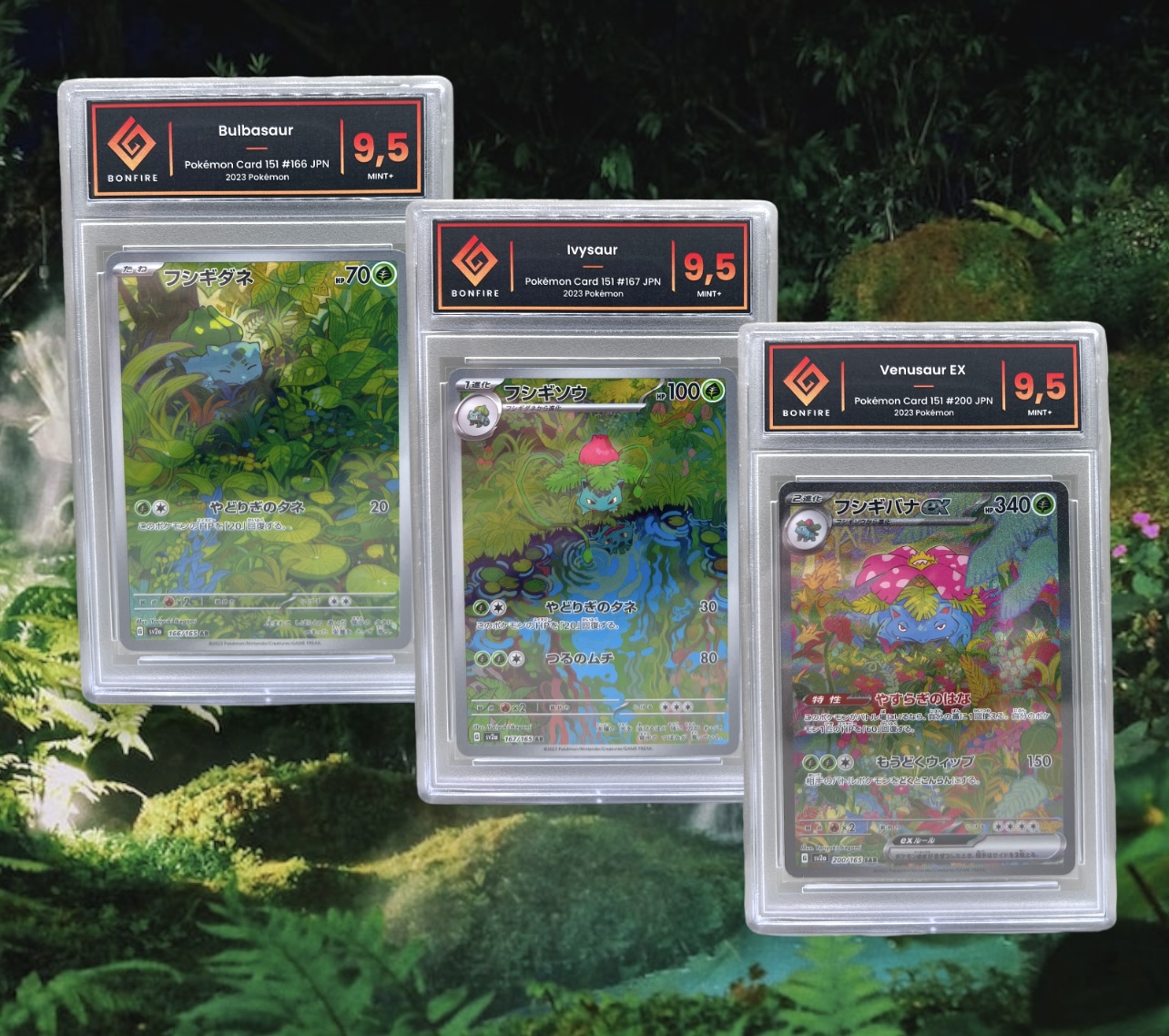 Hall of fire – BONFIRE GRADING